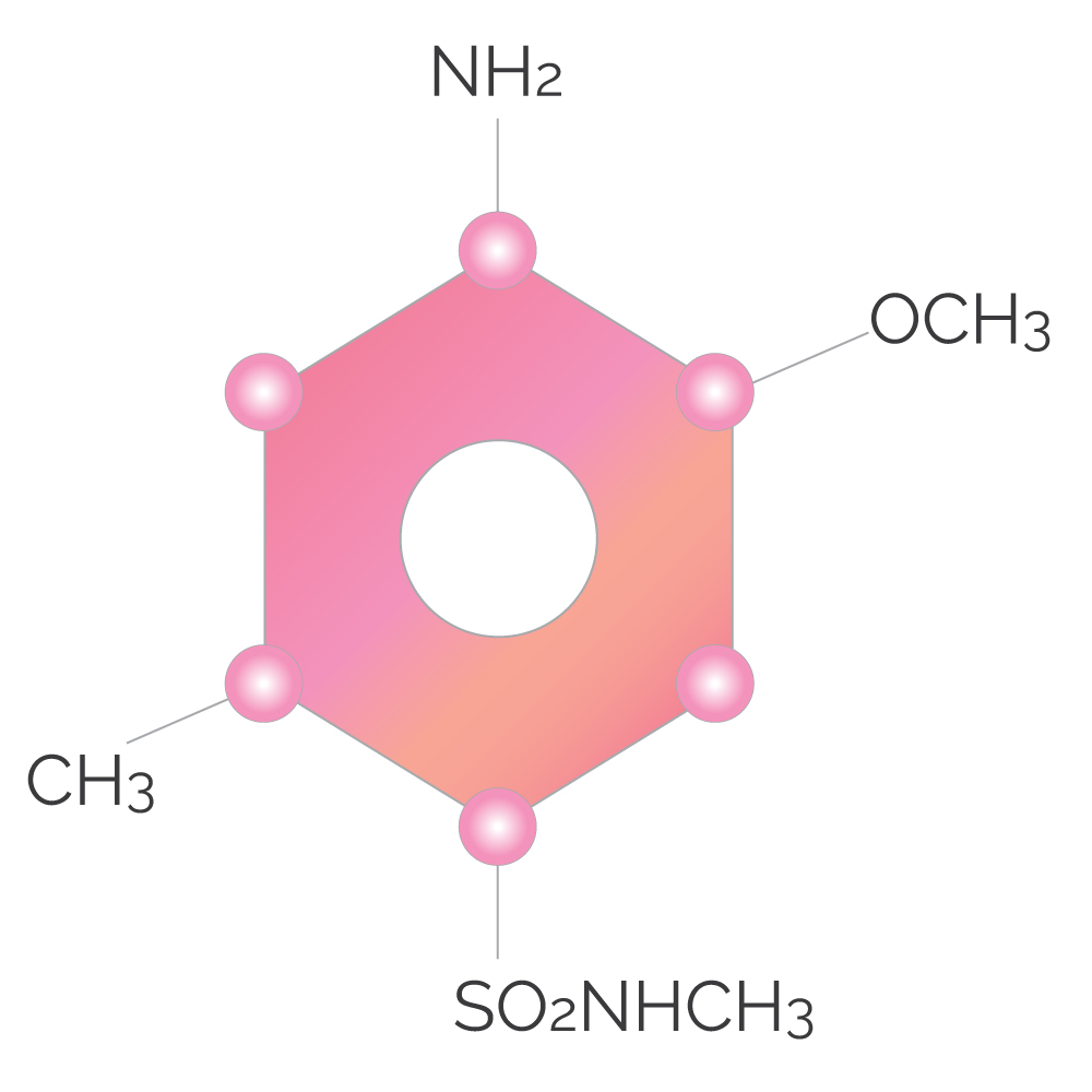 Para Cresidine N Methyl Sulfonamide - Reliable Dye Chem Pvt. Ltd.